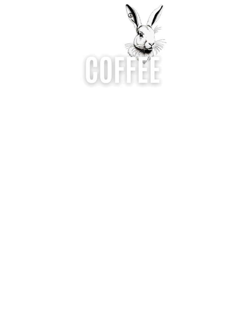 White Rabbit Coffee Shop - THE WATERBAR Powered by Thought in Motion